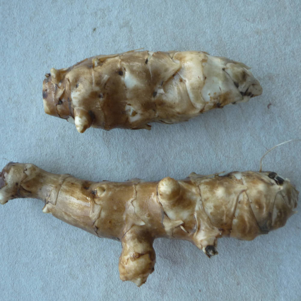 Aardpeer Chipolata - Groene Kruidenvelden