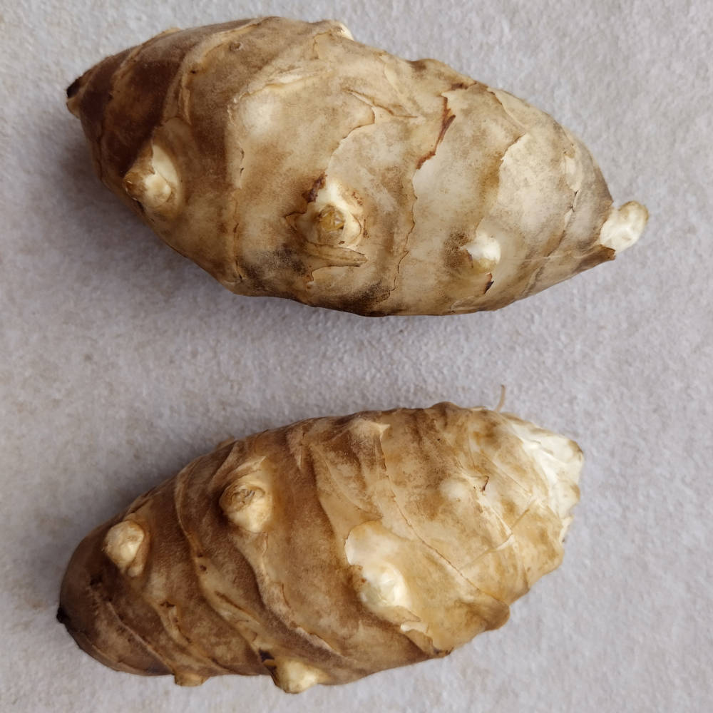 Aardpeer Gigant - Groene Kruidenvelden